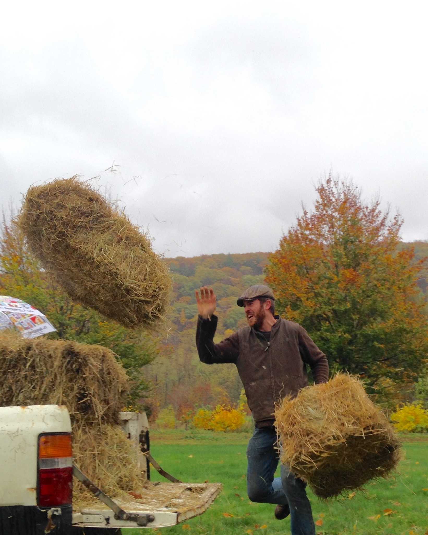 Farmer Olympics – Thorndale Fair